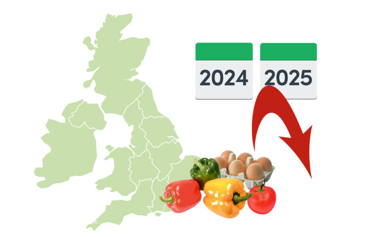 Easy News: UK supermarkets hit by food shortages - United Response