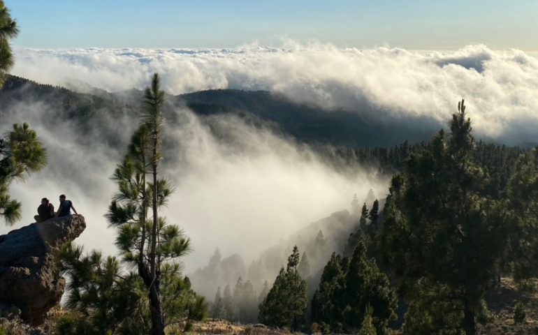 ROC College students enjoy life-changing trip to Gran Canaria - United ...