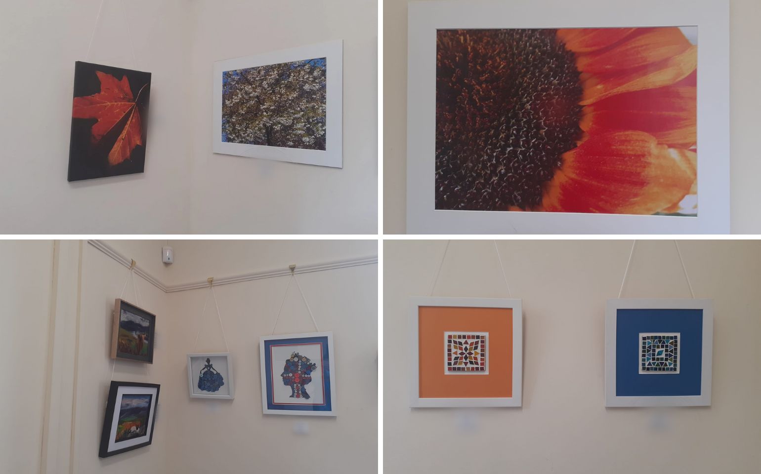 Easingwold Community Library showcases works from talented Boot Shop ...